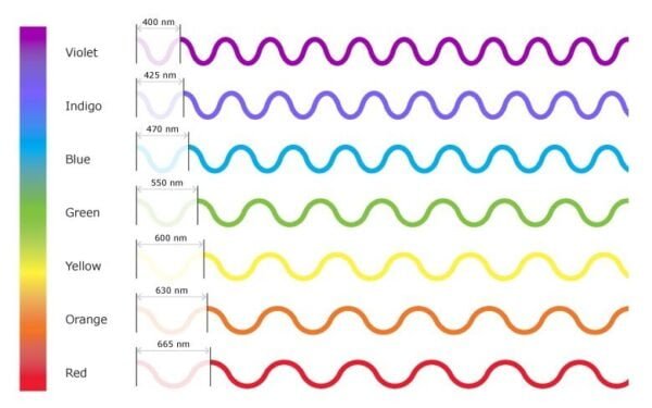 Bichromatic or Duochrome Tests: Understanding the Basics and How to ...
